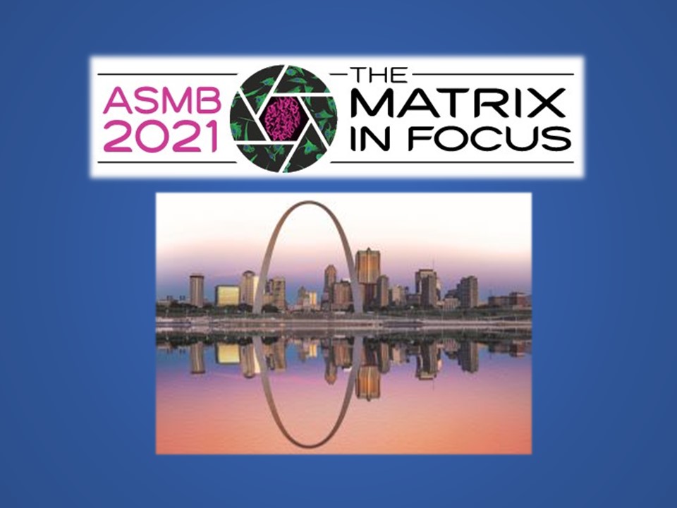 ASMB President-Elect, Dr. Jeffrey Miner, Announces Biennial Meeting ...