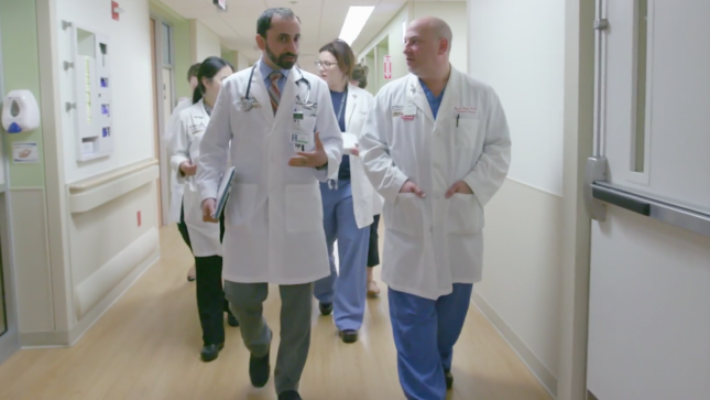 Transplant Fellowship - Division of Nephrology