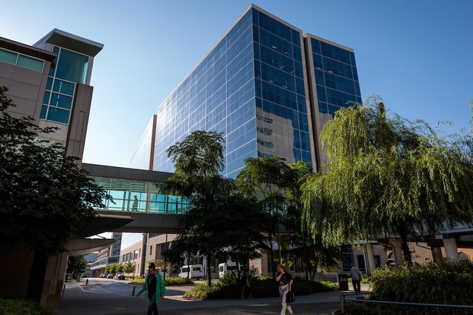 WashU Transplant Nephrology Fellowship Position Open - Division of ...